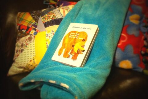 Comfort Through Connection